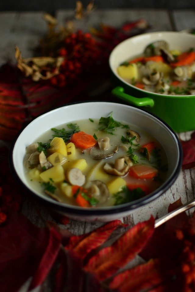 KURPIOWSKI ROSÓŁ Z PROŚNIANEK – weganon.pl